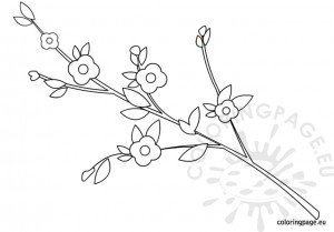 Branch with flowers coloring | Coloring Page