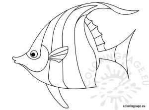Angelfish coloring | Coloring Page