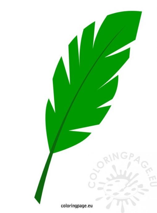 Palm branch | Coloring Page