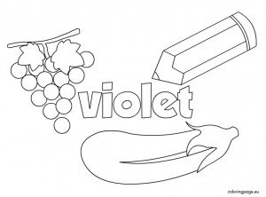 The color violet | Coloring Page