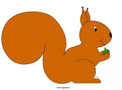 Red Squirrel | Coloring Page