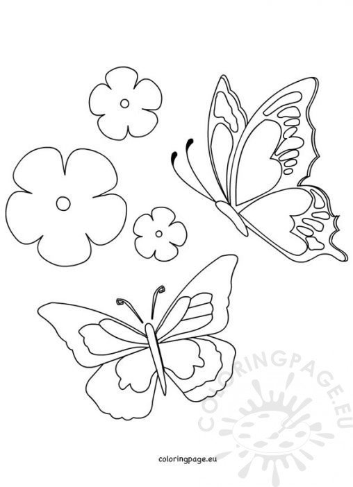 Spring - Butterfly And Flower | Coloring Page
