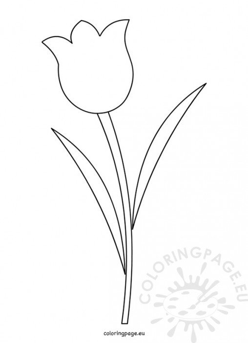 Tulip Flower Template Printable | Coloring Page
