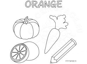 Color Activity Sheet Orange Color | Coloring Page
