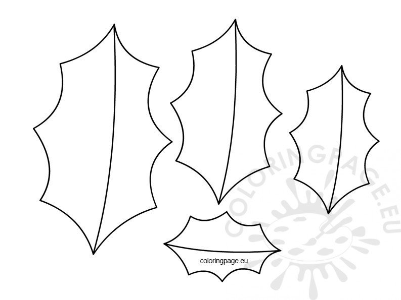 Holly Leaf Template Christmas Coloring Page