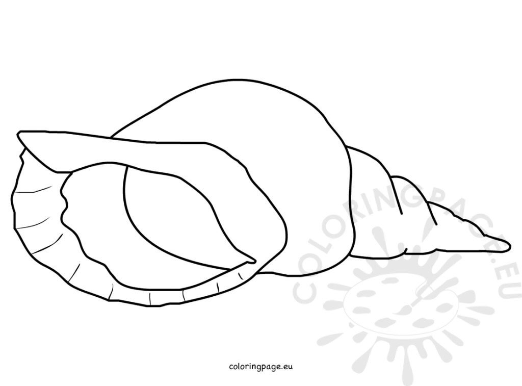 Vector spiral conch sea shell | Coloring Page