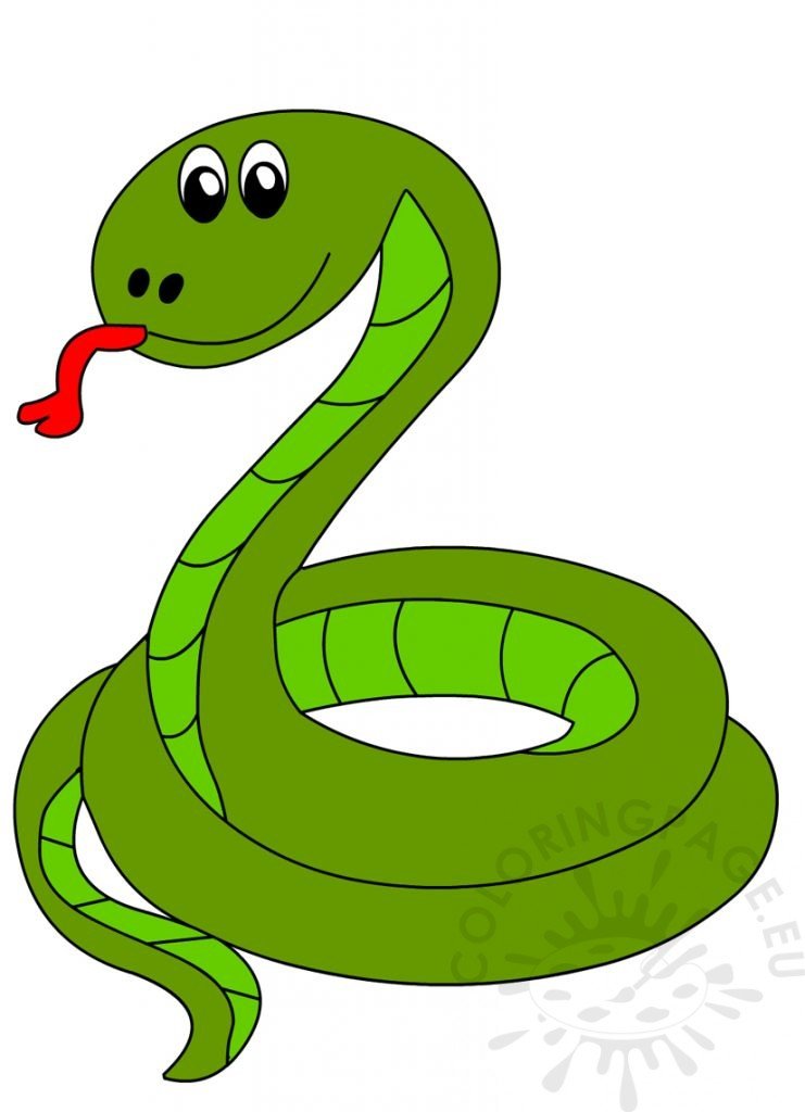 Green snake vector illustration | Coloring Page