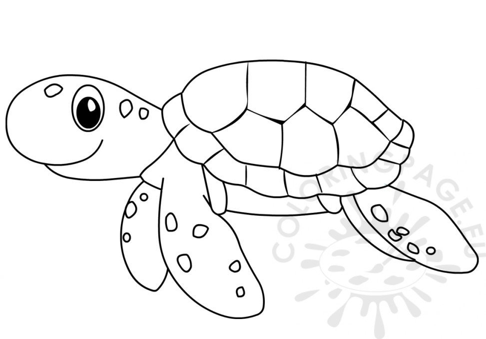 Ocean Animal Sea turtle cartoon | Coloring Page