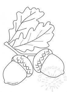 Autumn coloring page Acorns with leaves | Coloring Page