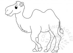 Animal coloring pages Two hump camel | Coloring Page