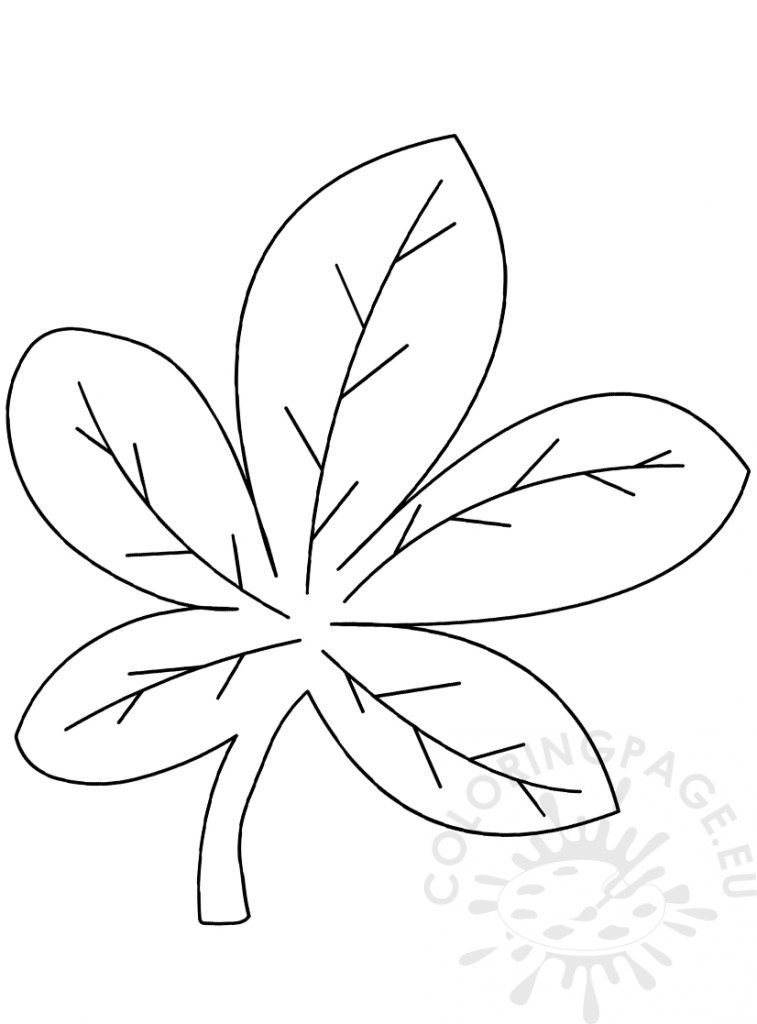 Large chestnut leaf template printable | Coloring Page