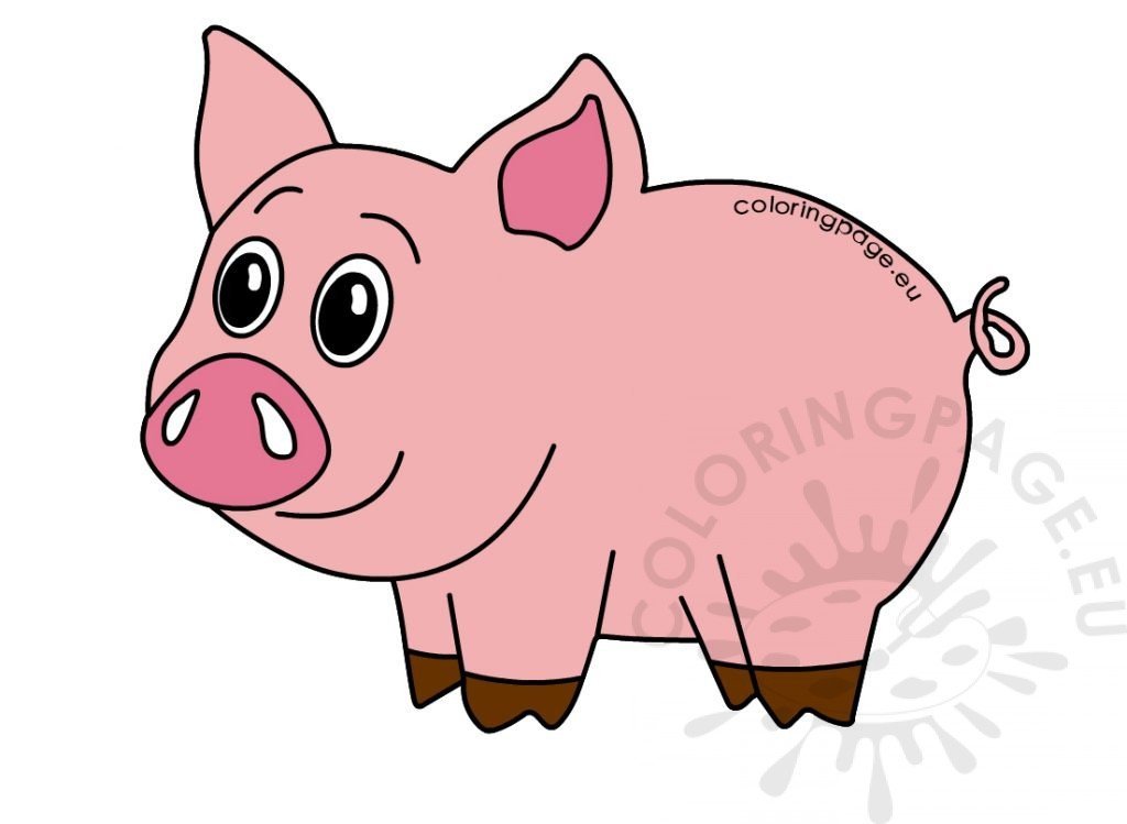 Pink cute little pig picture | Coloring Page
