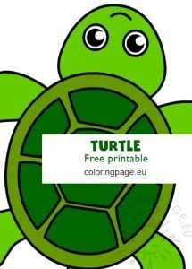 Green Sea Turtle | Coloring Page