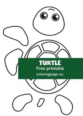 Turtle craft template | Coloring Page