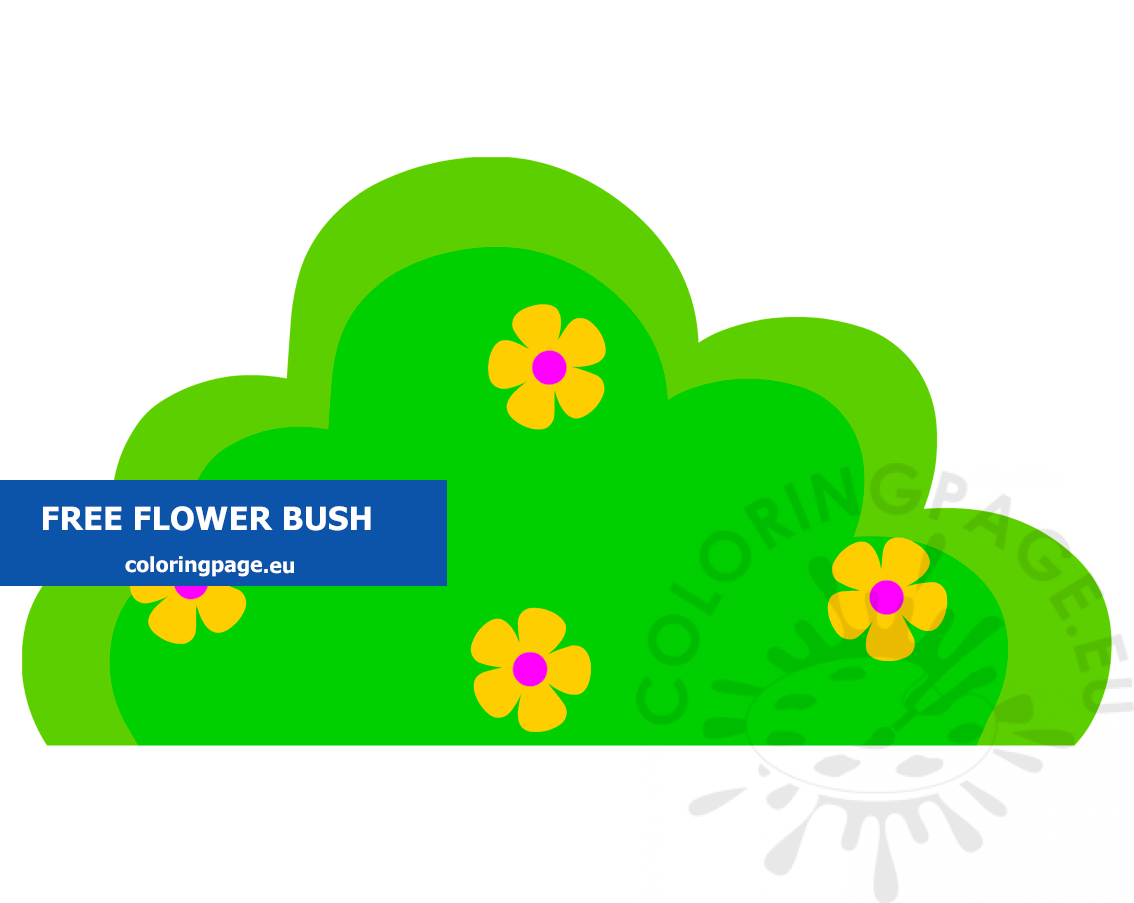 Isolated shrub on white background | Coloring Page