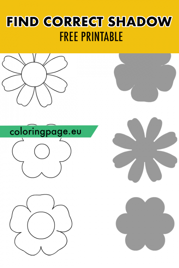 Spring Shadow Matching Worksheet | Coloring Page