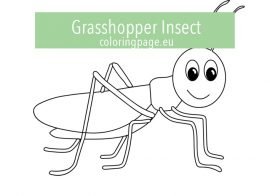 Grasshopper Insect coloring page | Coloring Page