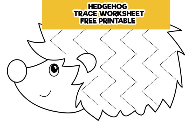 Animal Tracing Page - Hedgehog | Coloring Page