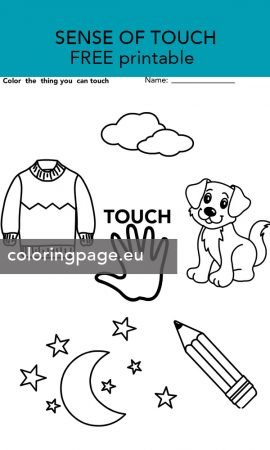 Sense of touch worksheet | Coloring Page