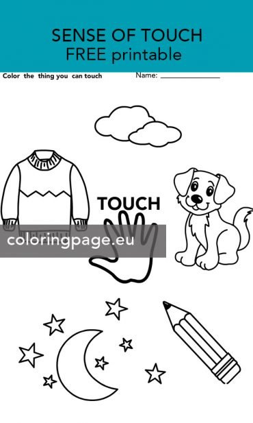 Sense of touch worksheet | Coloring Page