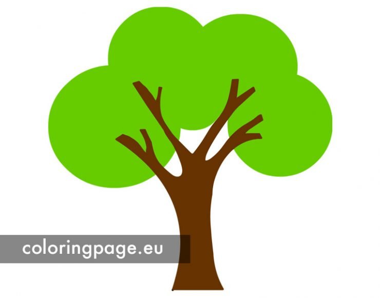 Tree with green foliage | Coloring Page