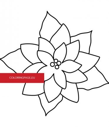 Free Christmas Poinsettia Flower | Coloring Page