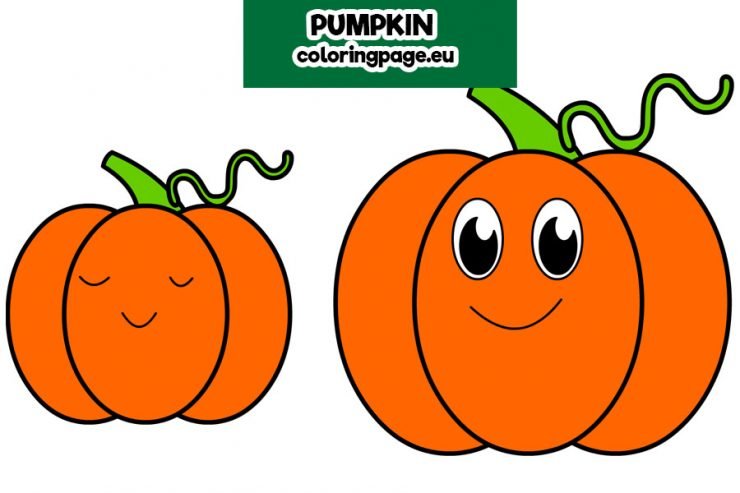 Orange pumpkins vector image | Coloring Page