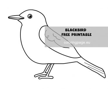 Blackbird for kids coloring page | Coloring Page