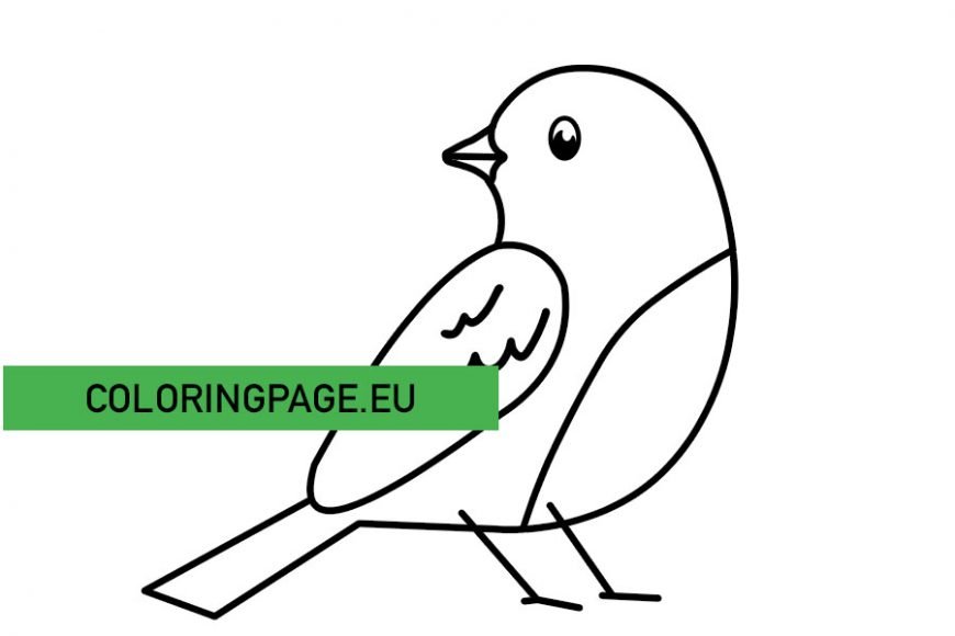 Cute little bird | Coloring Page