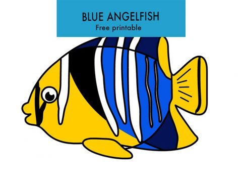 Fish - Coloring Page