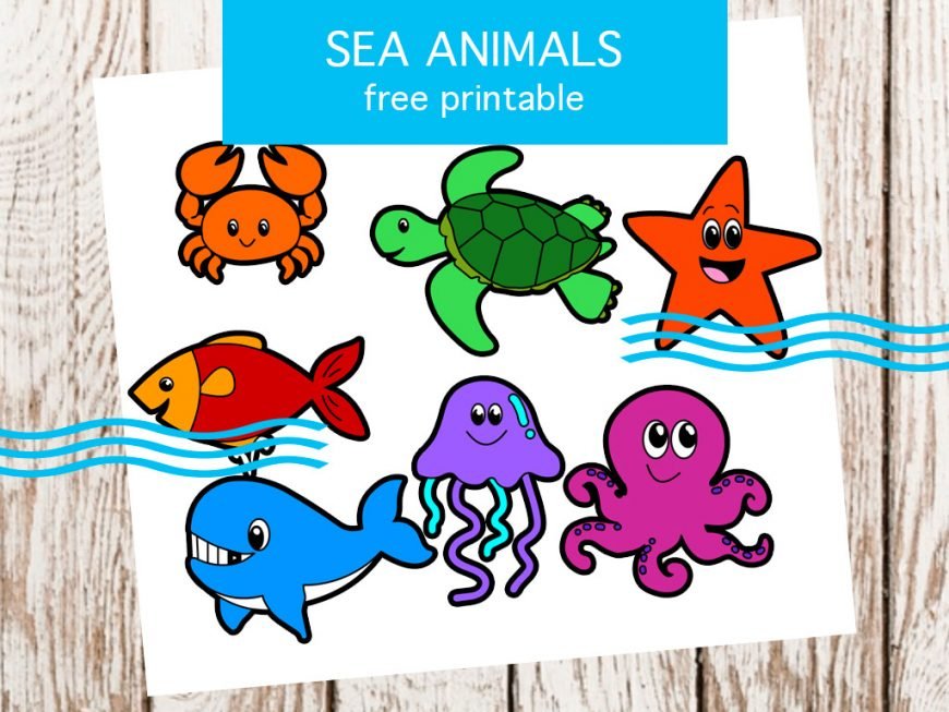 Colorful sea animals printable | Coloring Page