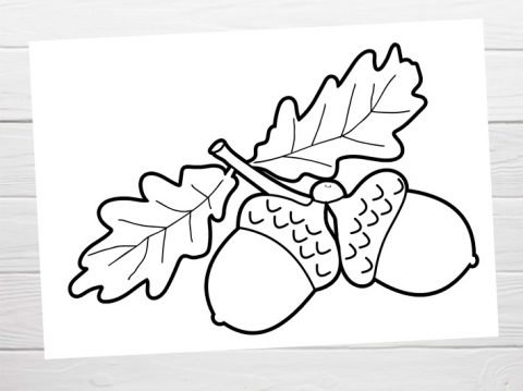 Acorns with leaves printable | Coloring Page
