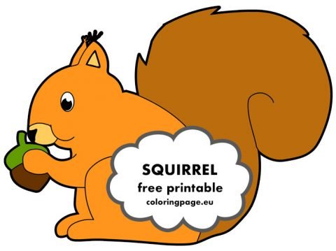 Squirrel with acorn printable | Coloring Page
