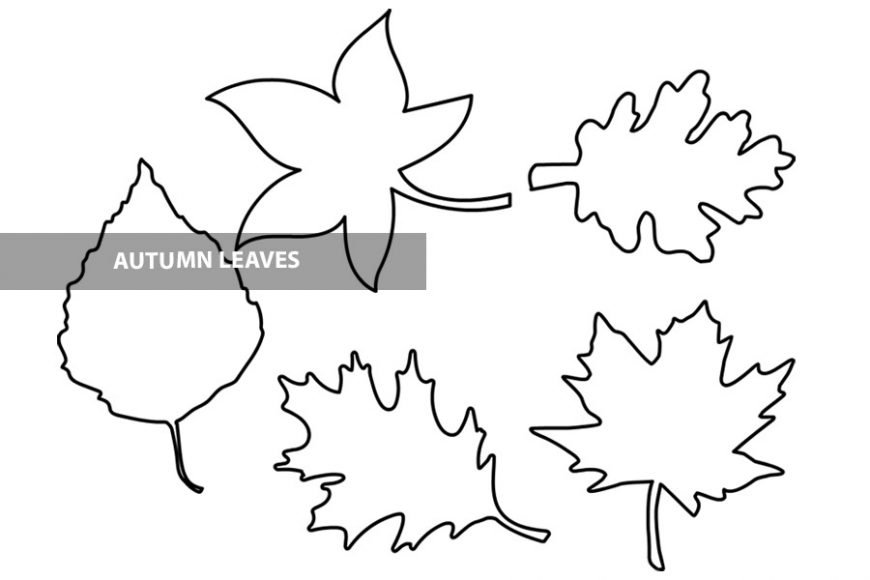 Different Autumn Leaves template | Coloring Page
