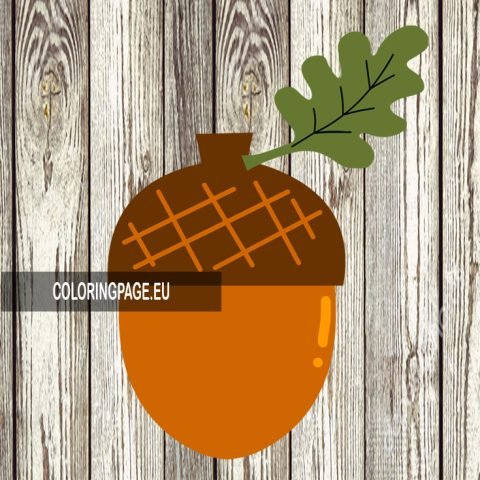 Acorn with leaf vector art | Coloring Page