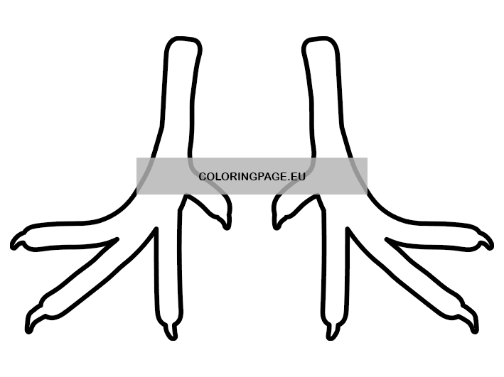 Turkey Feet Pattern Coloring Page