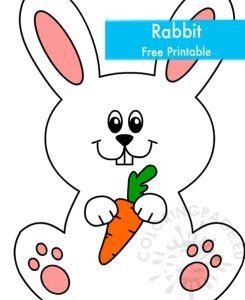 Printable Rabbit with carrot | Coloring Page