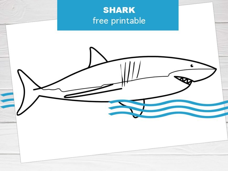 Shark fin template | Coloring Page