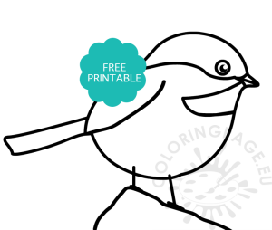 Cute bird | Coloring Page
