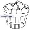 Free printable Bushel apples | Coloring Page