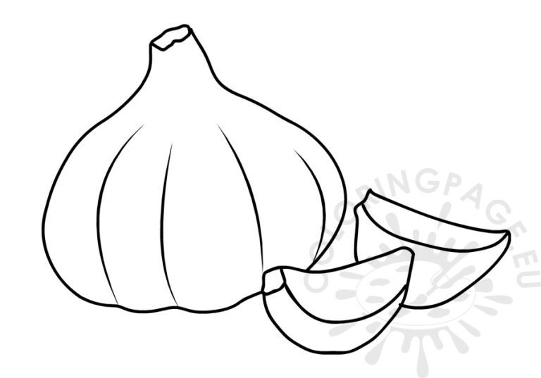 Garlic coloring page | Coloring Page