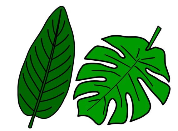 Giant green leaves to print | Coloring Page