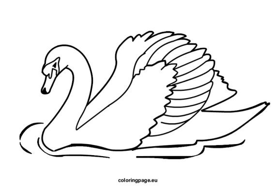 Swan coloring page | Coloring Page