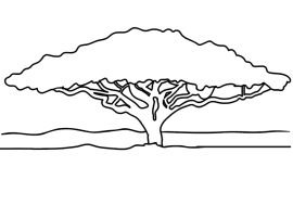 African Tree | Coloring Page
