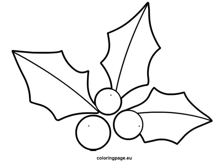 Holly free printable | Coloring Page