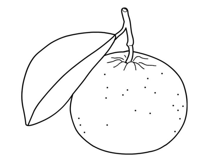 Mandarin with leaf | Coloring Page