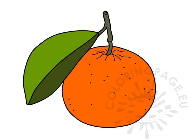 Orange Mandarin free printable | Coloring Page