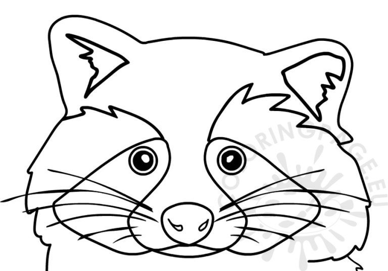 Raccoon face | Coloring Page