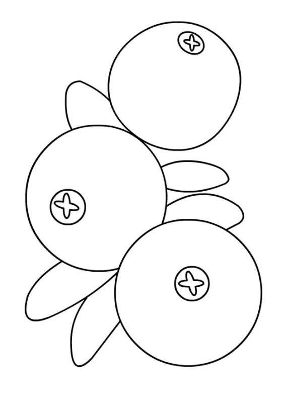 Cranberry printable | Coloring Page