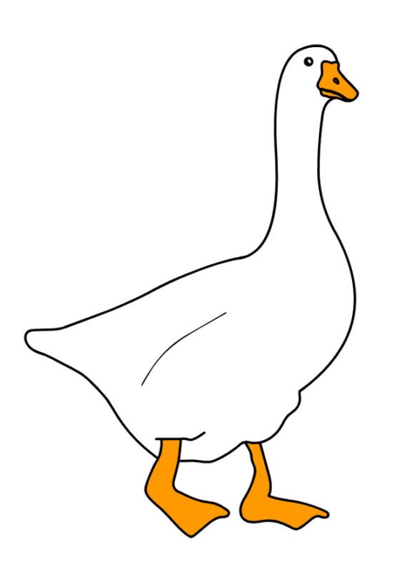 Colorful goose | Coloring Page